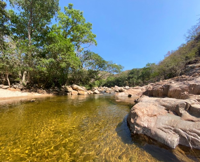 Protection des sources d'eau dans les communautés Wiwas de la rivière ...
